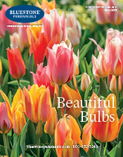 Perennial Catalog request from Bluestone Perennials