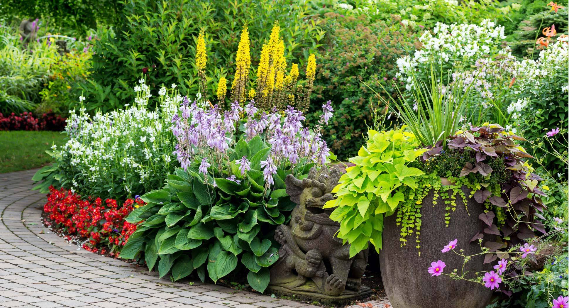 Bluestone: Amazing Plant Selection in Eco Friendly Plantable Pots ...