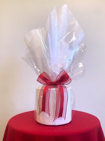 Amaryllis Double Delicious | Bluestone Perennials