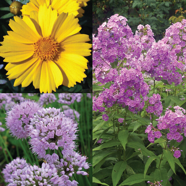 Cutting Garden | Bluestone Perennials