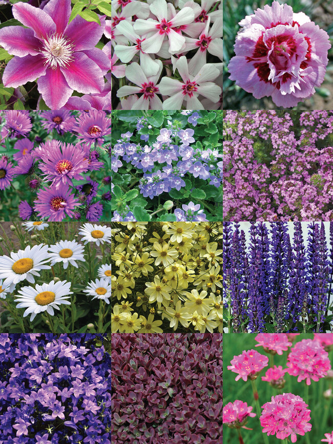 Lamp Post Garden Bluestone Perennials Lamp Post Garden Bluestone Perennials