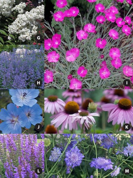 Product Viewer - Pre-planned Bluestone-Plant-of-the-Year-Border-Garden
